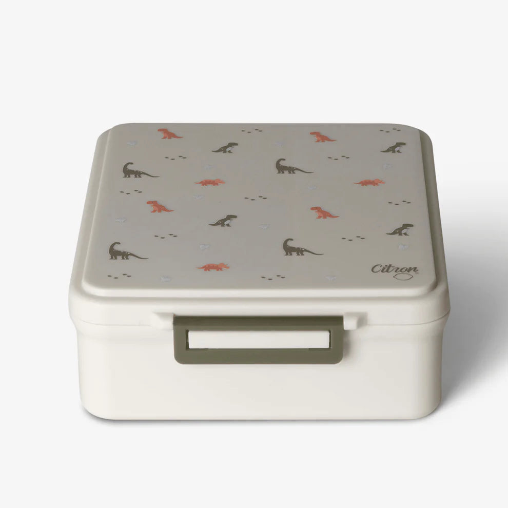 Citron Grand Lunch Box 4 Compartments with Insulated Food Jar - Dino G ...