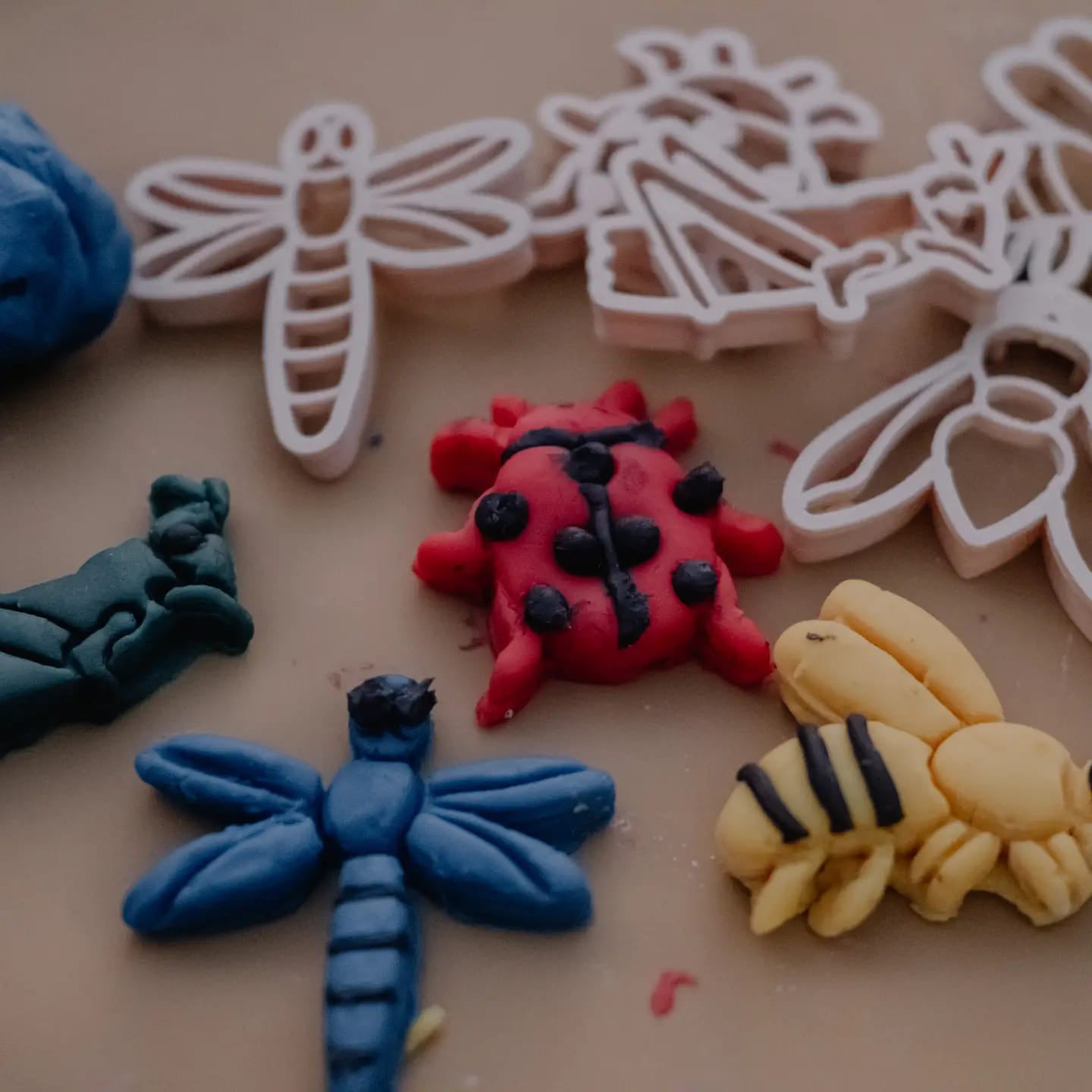 Mini Insect Eco Cutter Set – Little Junior Co